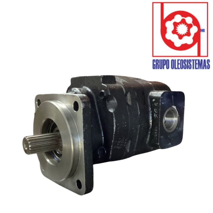 BOMBA ENGRANES COMERCIAL, CASE 257953-A1 (580L) | Oleosistemas